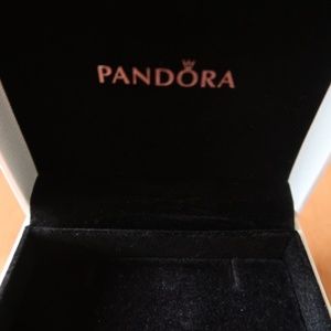 Pandora | Jewelry | Pandora Box One | Poshmark